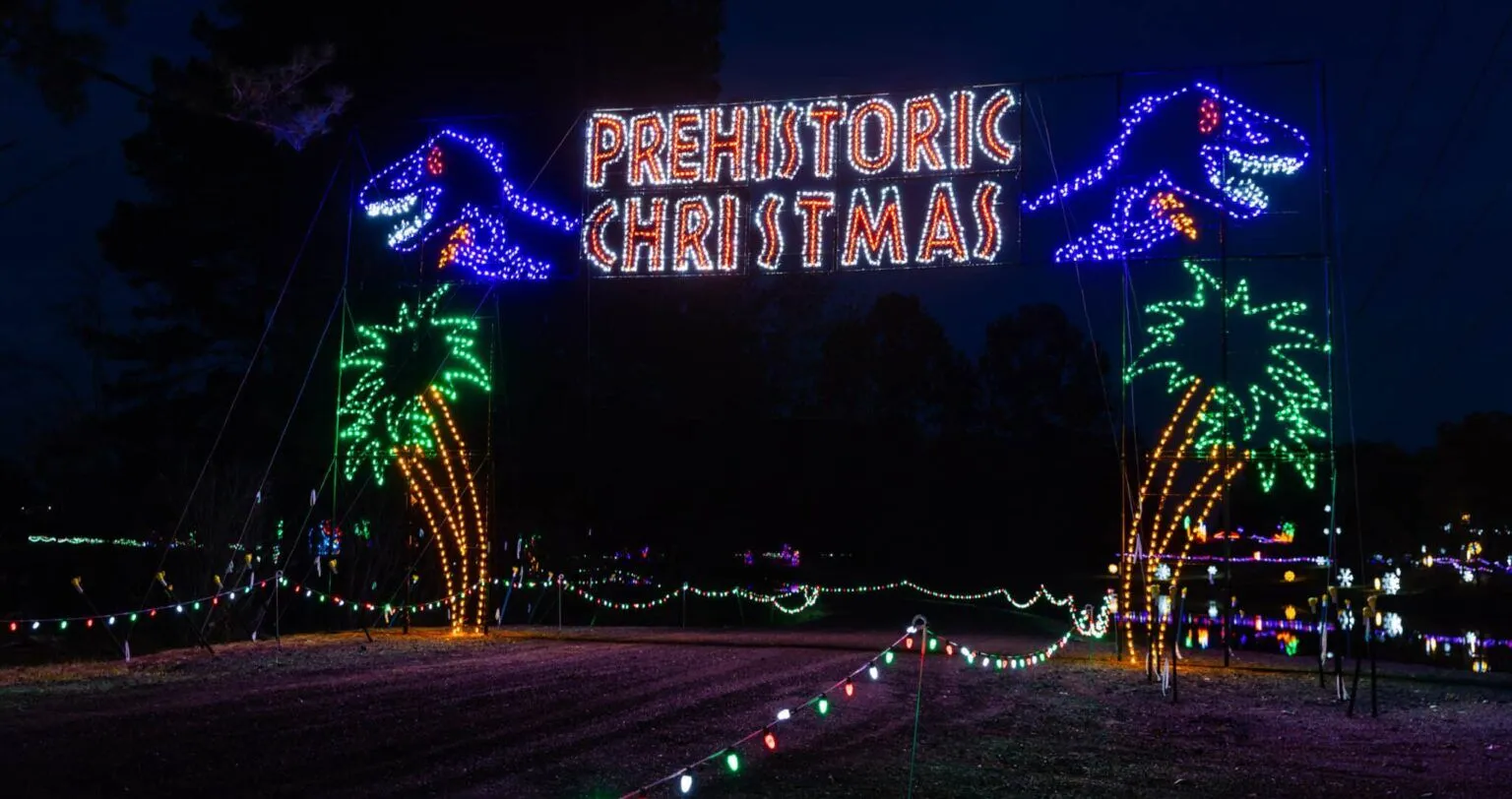 Magic Of Lights At PNC Bank Arts Center: Buckle Up For A Joyride - NJ Mom