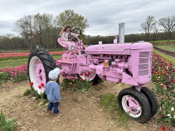 Best Family-Friendly Farms in NJ to Visit All Year - NJ Mom