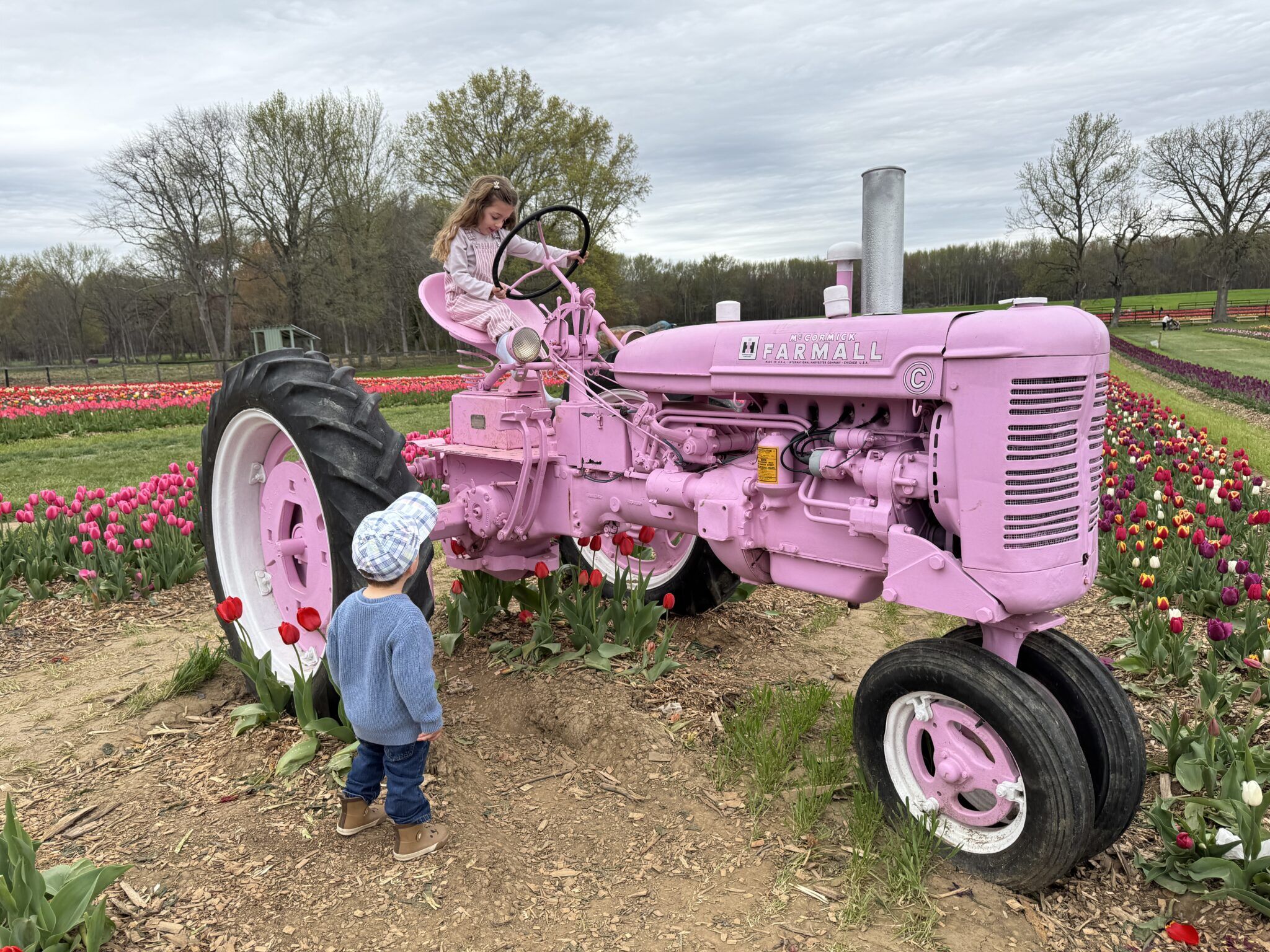 Best Family-Friendly Farms in NJ to Visit All Year - NJ Mom