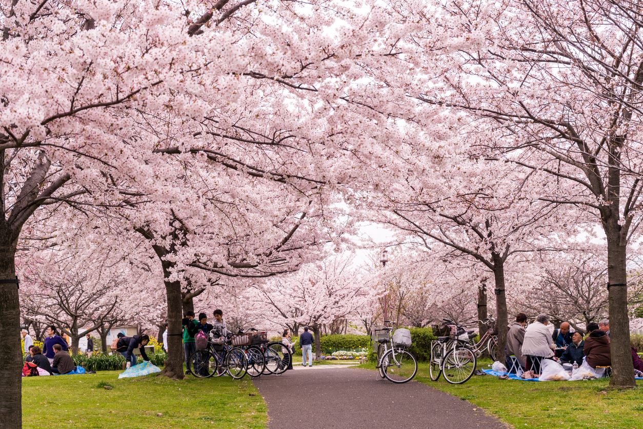 10 Kid Friendly Things To Do April 5 7 10 Kid Friendly Things To Do April 5 7