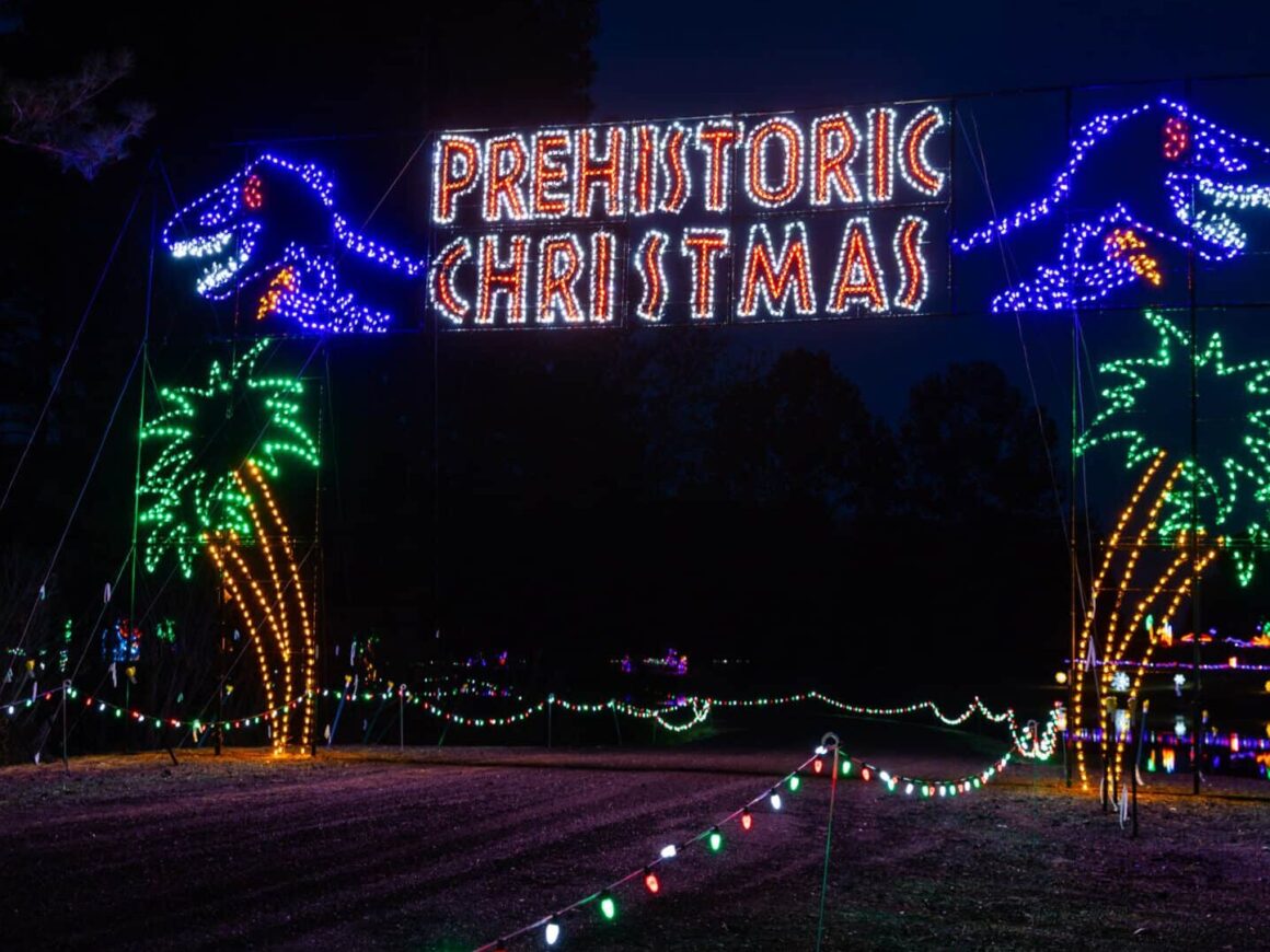 Holiday Lights Spectacular at Turtle Back Zoo - NJ Mom